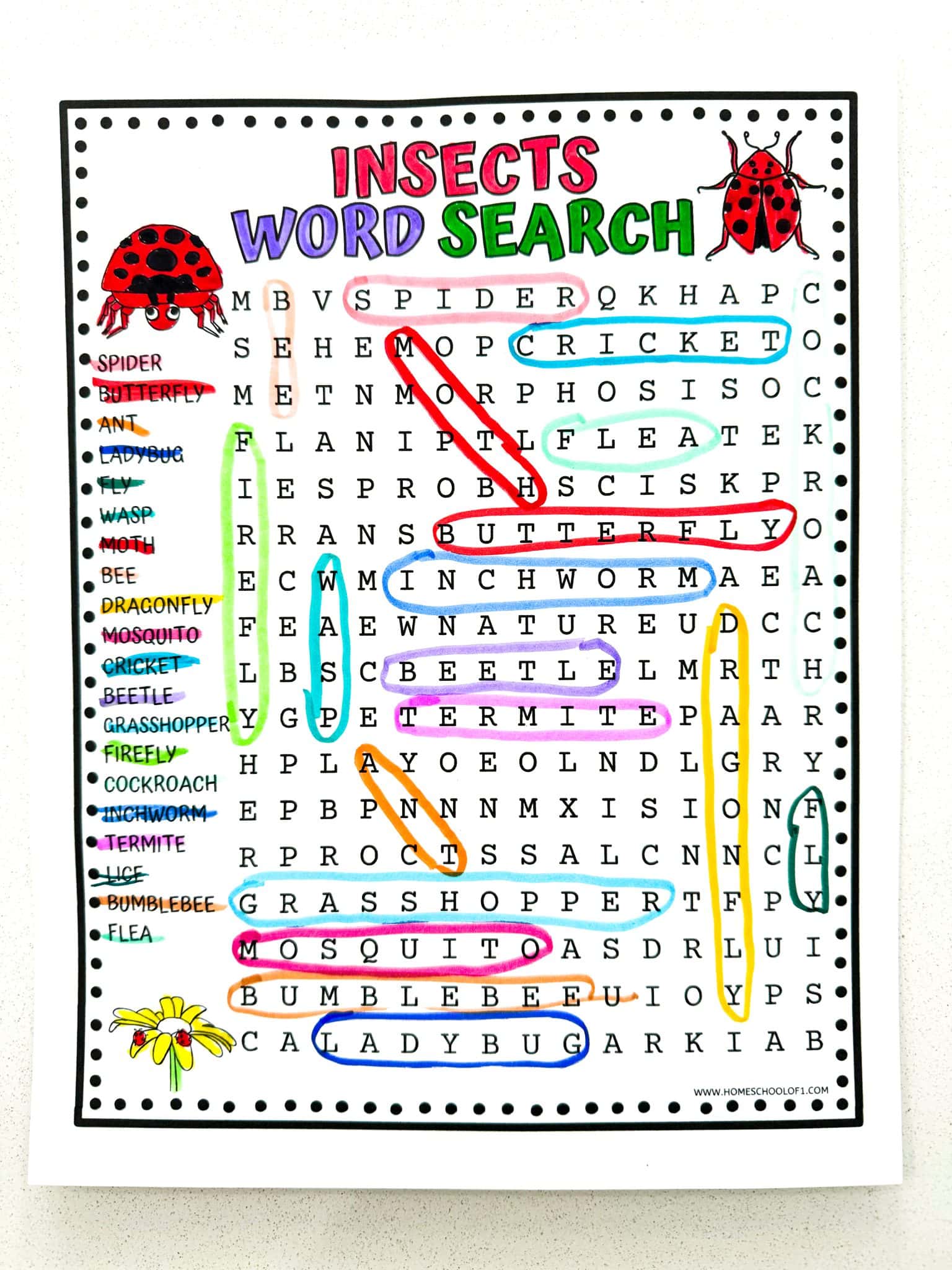 Insect Word Search (Free Printable Game)