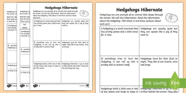 11 Hedgehog Worksheets For Learning Fun!