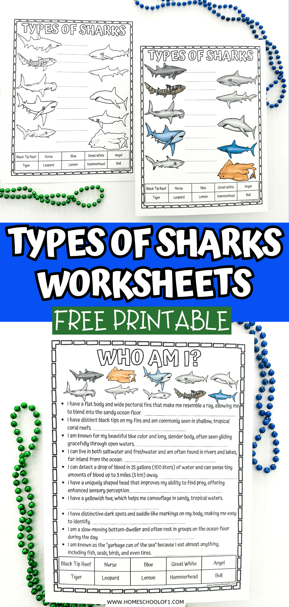 Free Different Types of Sharks Worksheets