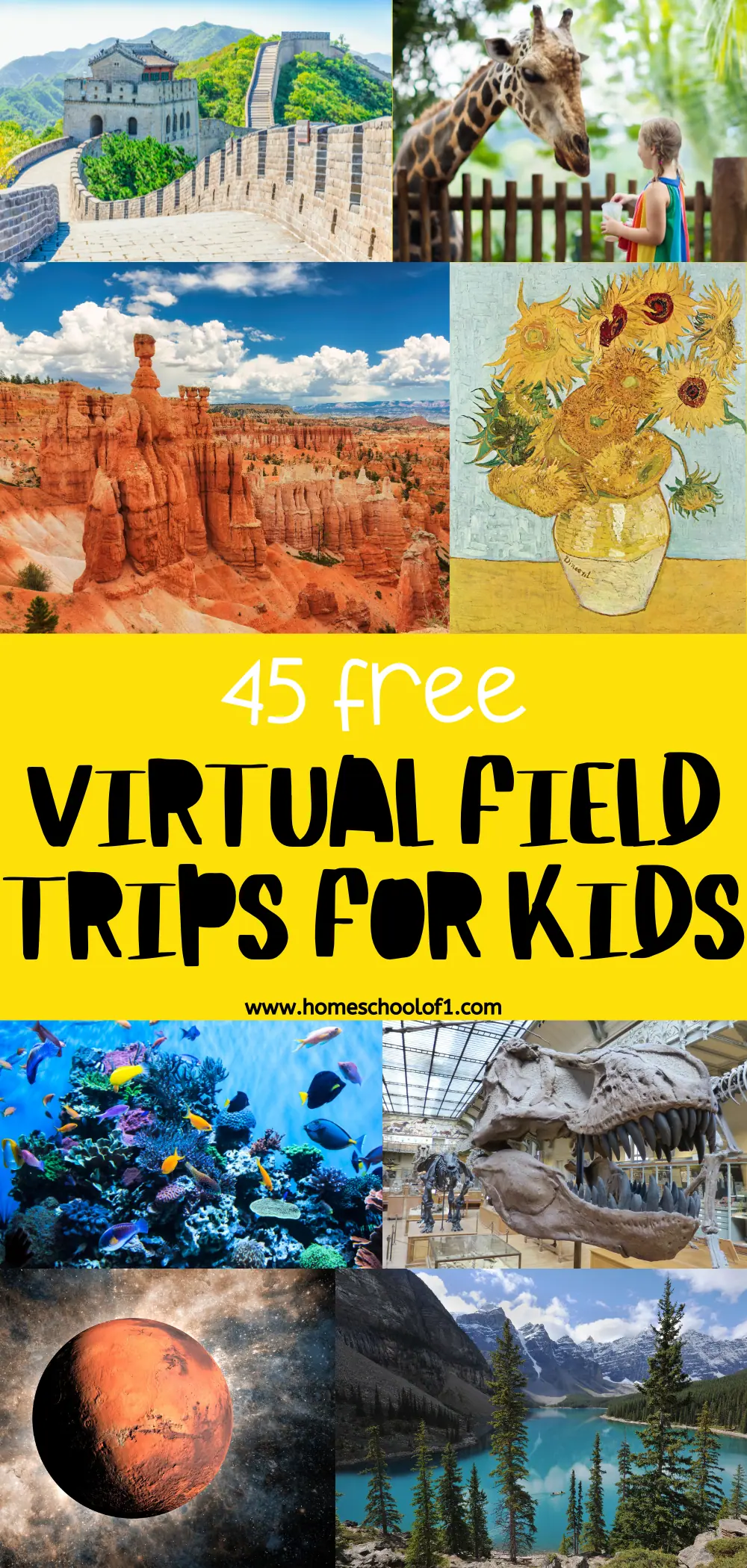 45 Virtual Field Trips for Homeschoolers