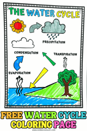 Free Water Cycle Coloring Page For Kids