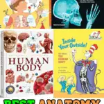 Best Anatomy Books for Kids Sorted by Age