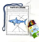 Free Parts of a Shark Worksheet