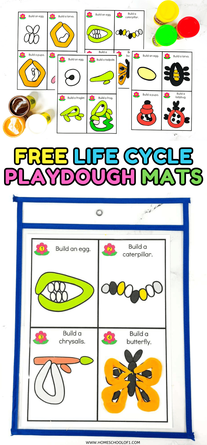 Free Life Cycle Playdough Mats for Hands-On Learning