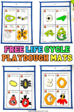 Free Life Cycle Playdough Mats for Hands-On Learning