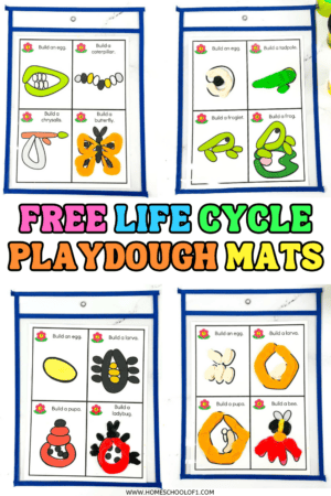Free Life Cycle Playdough Mats for Hands-On Learning