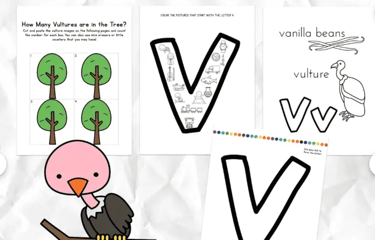 17 Letter V Activities For Preschoolers