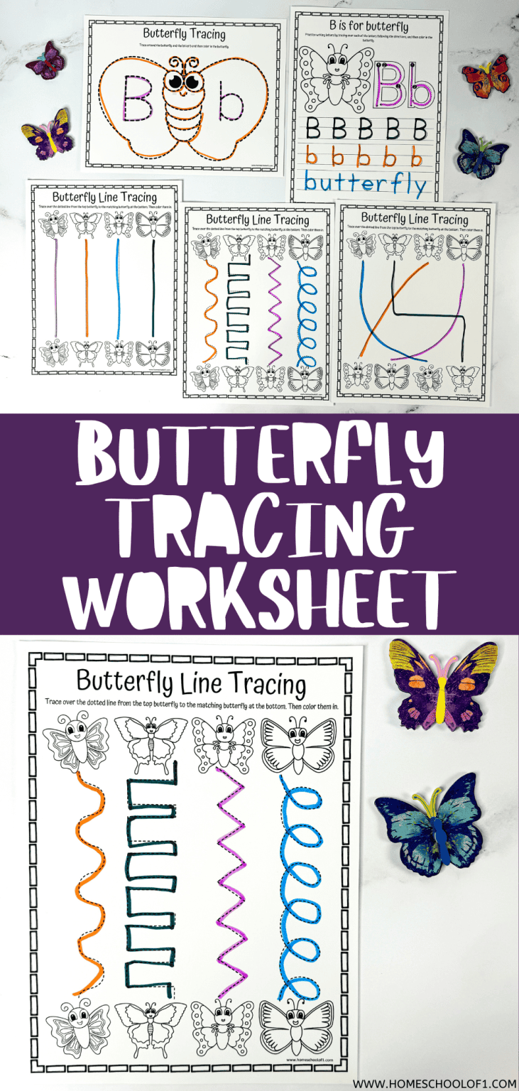 Butterfly Tracing Worksheet (5 Free Printables)