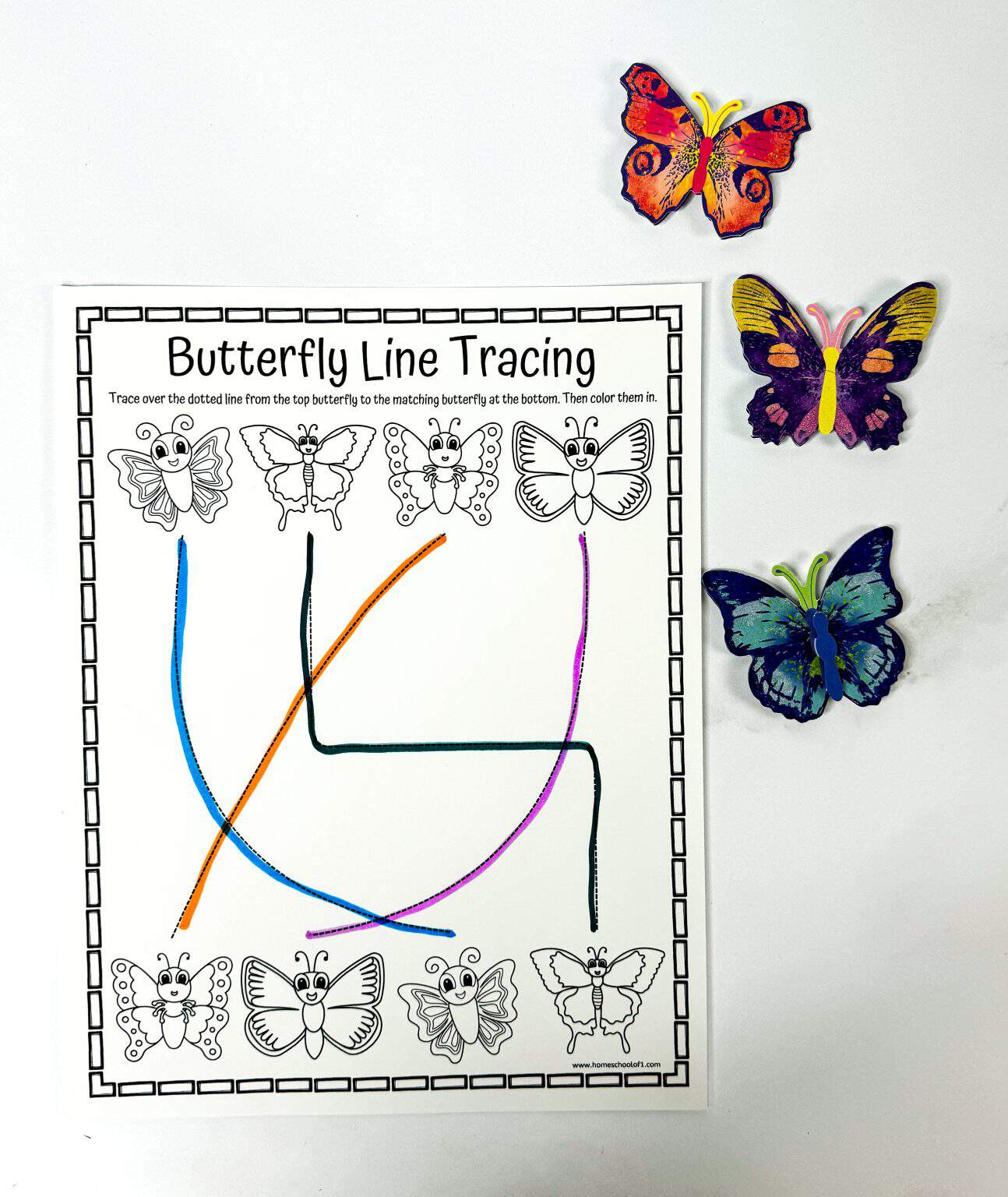 Free Butterfly Tracing Worksheets for Preschool and Kindergarten
