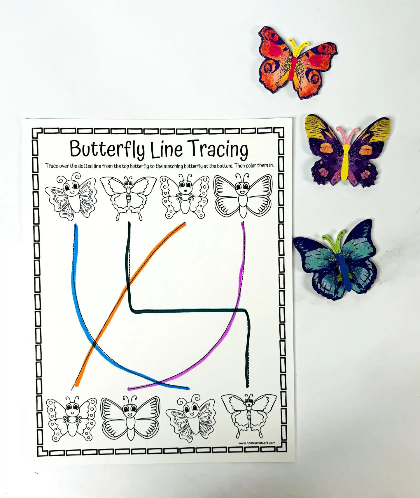 Butterfly Tracing Worksheet (5 Free Printables)