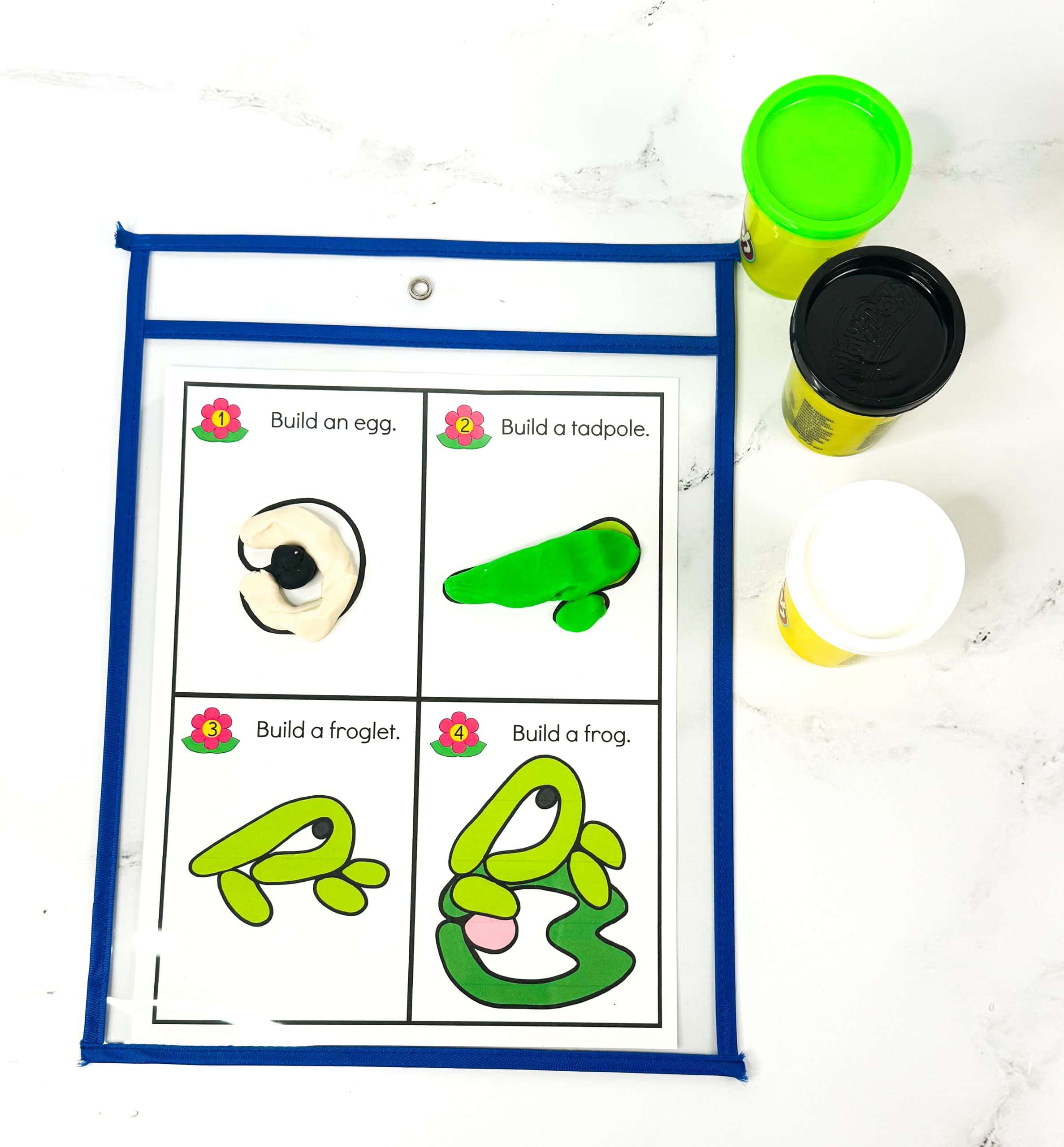 Engaging Life Cycle of a Frog Activities for Kids