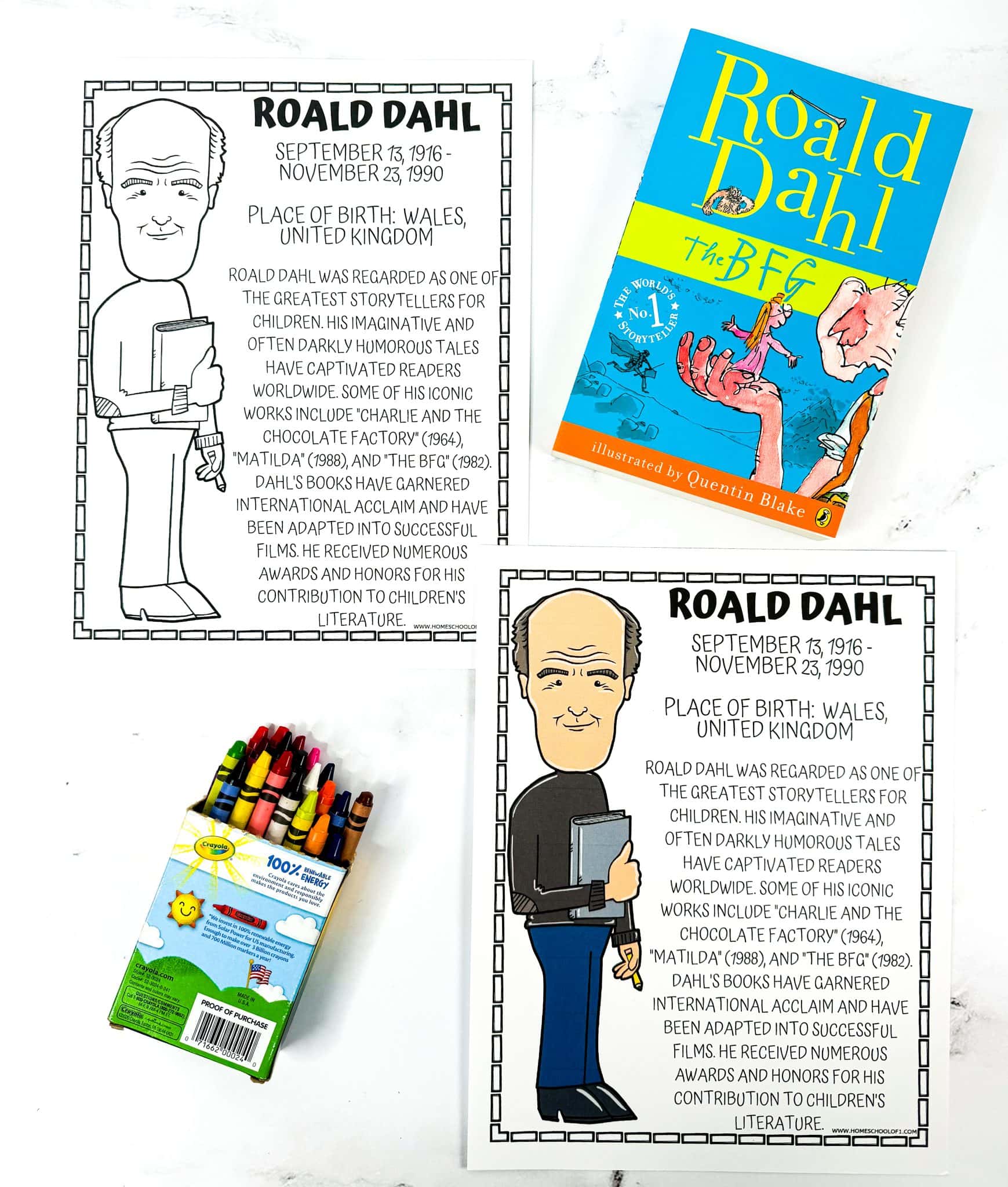 Roald Dahl Author Study