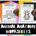21 Free Body Parts of Animals Worksheets for Kids