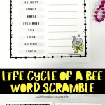 Free Life Cycle of a Bee Word Scramble Printable