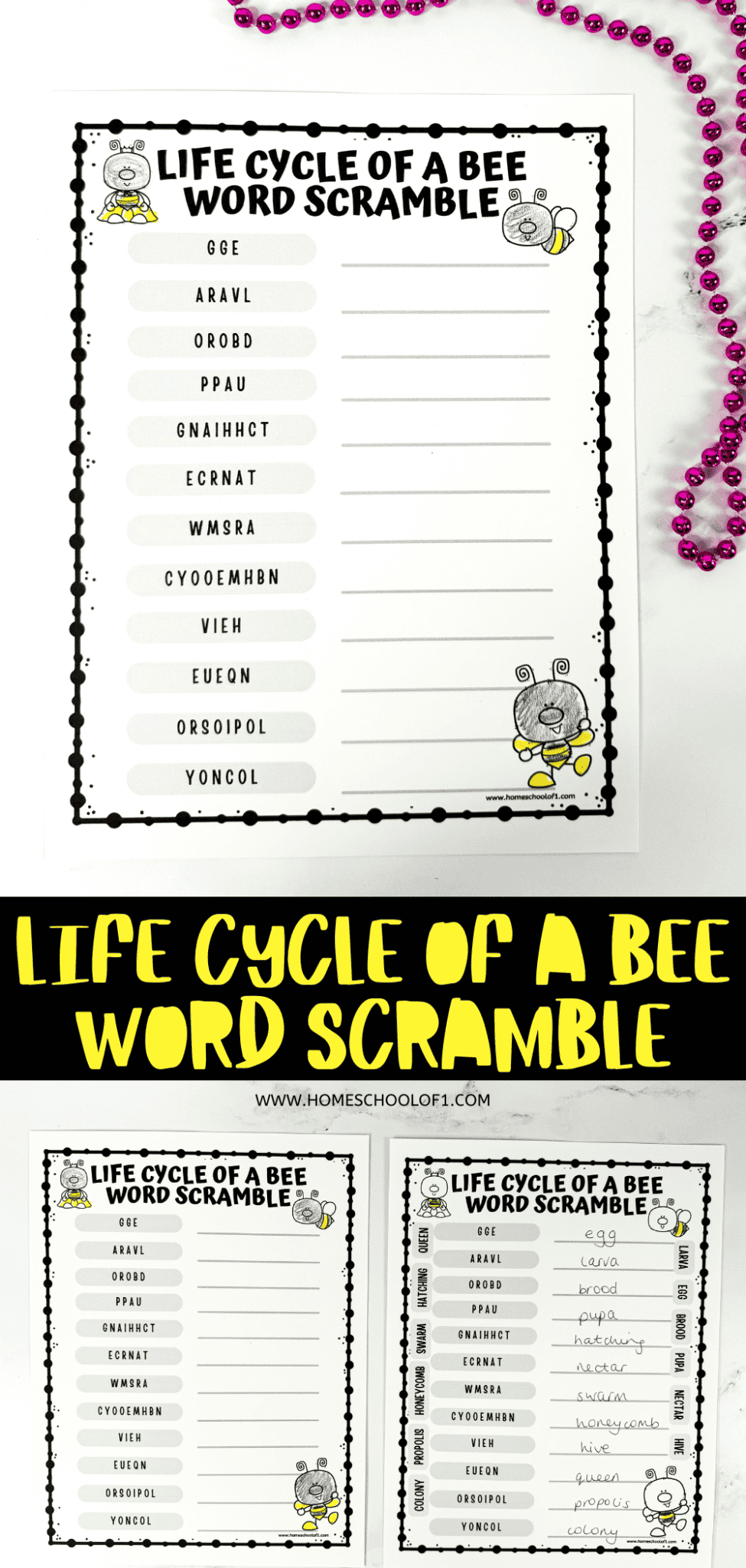 Free Life Cycle of a Bee Word Scramble Printable