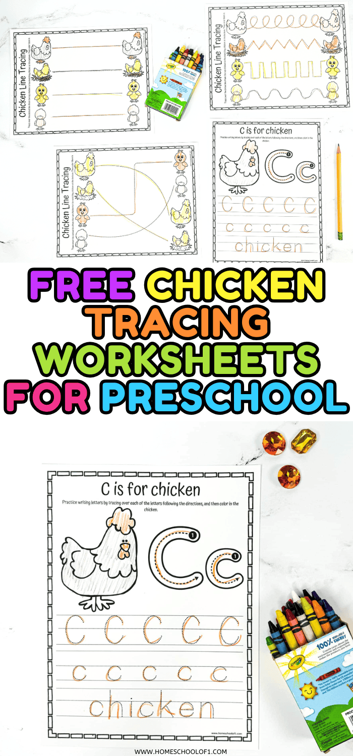Free Chicken Tracing Worksheets for Preschool and Kindergarten