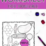 Color Purple Worksheet for Preschool (Free Printable)