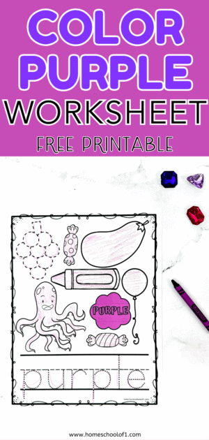 Color Purple Worksheet for Preschool (Free Printable)