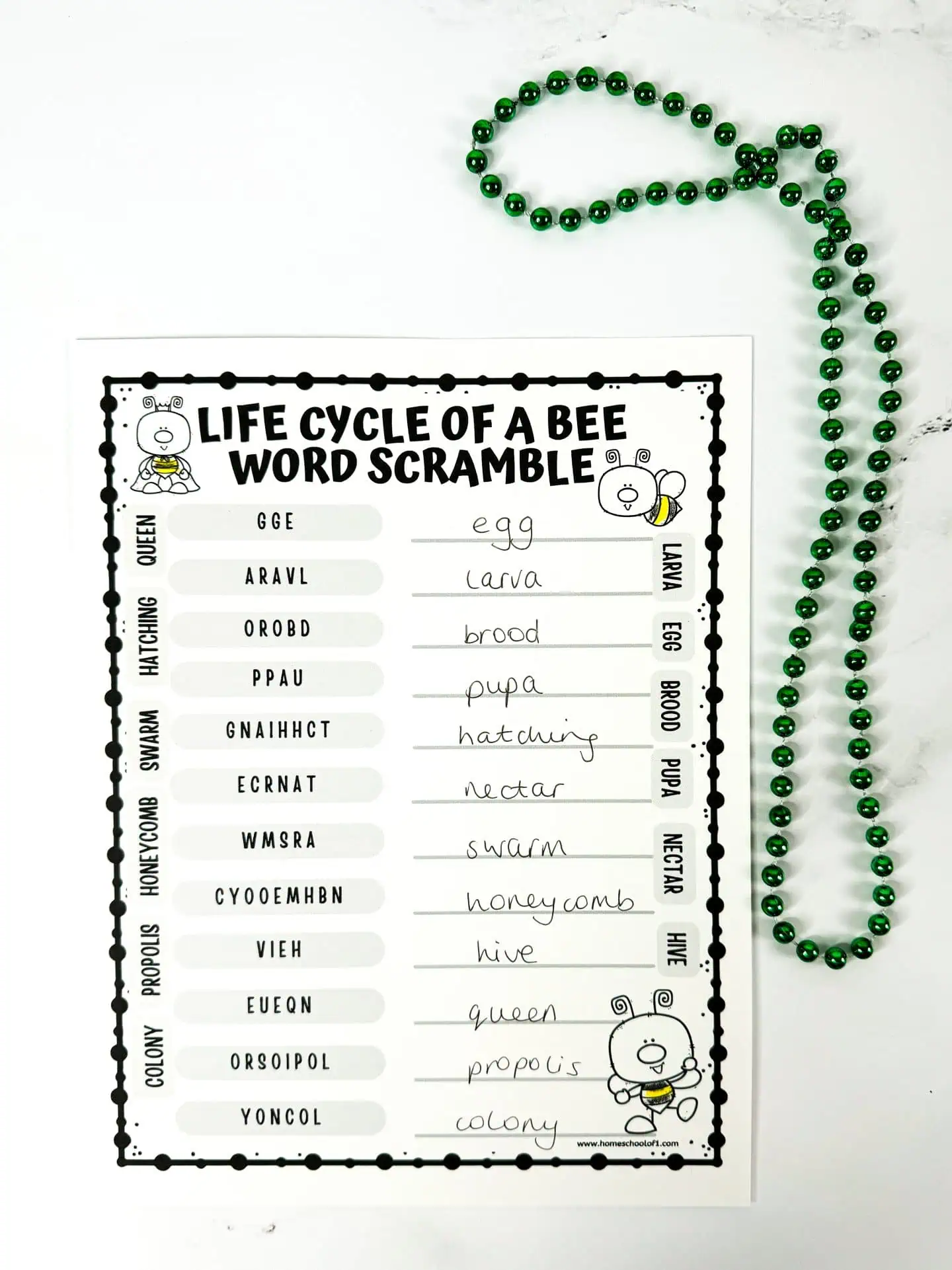 Free Life Cycle of a Bee Word Scramble Printable
