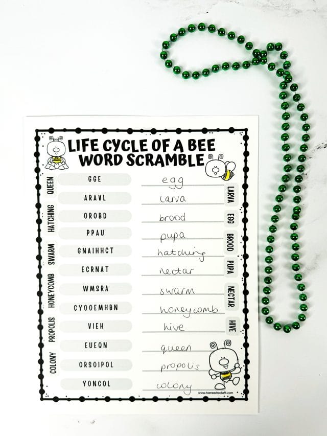 Free Life Cycle of a Bee Word Scramble Printable
