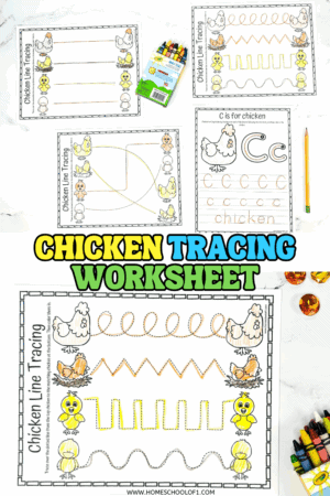 Free Chicken Tracing Worksheets for Preschool and Kindergarten