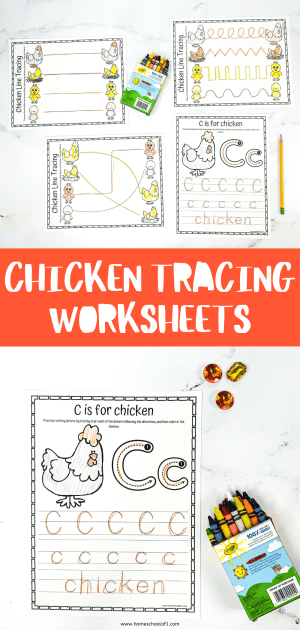 Chicken Tracing Worksheet (Free Printables)