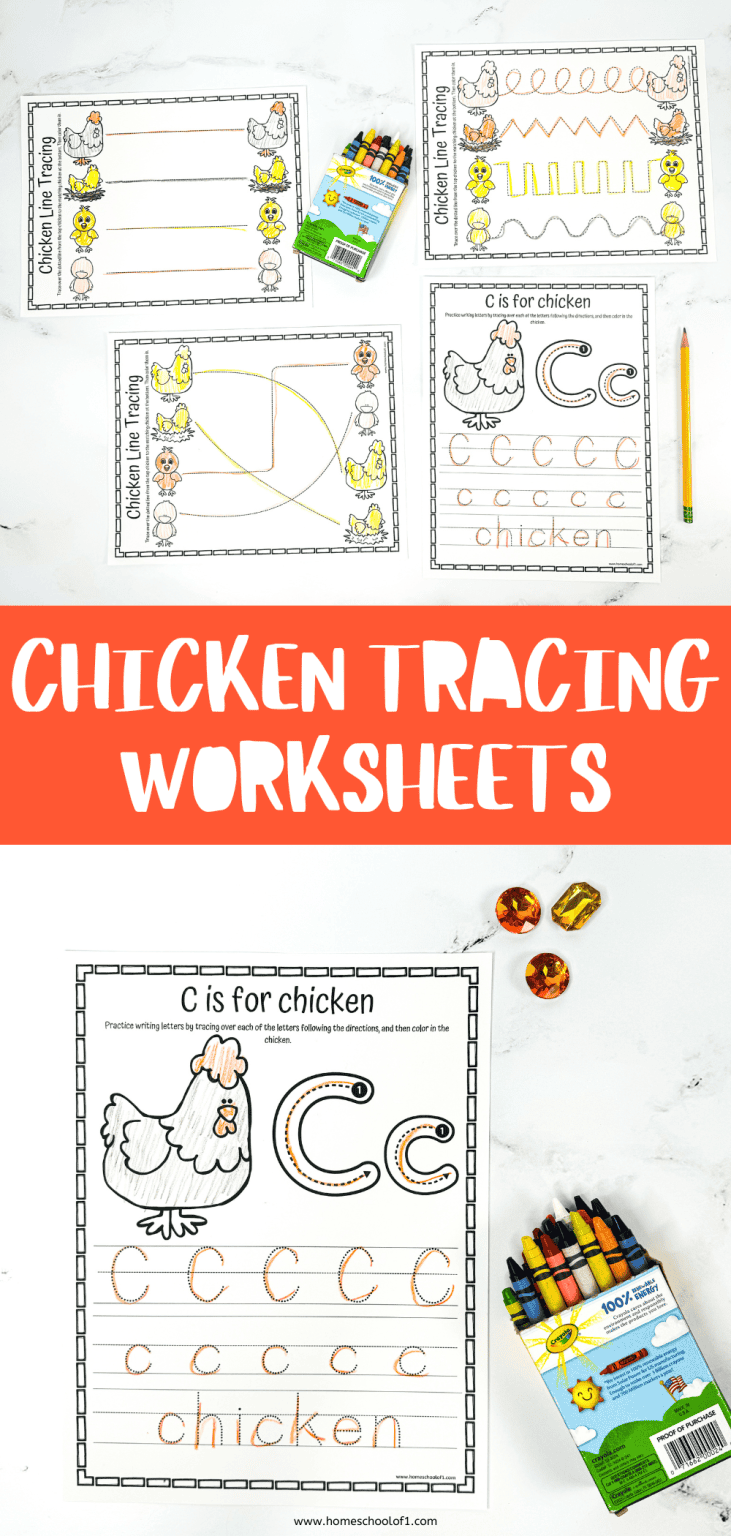 Chicken Tracing Worksheet (Free Printables)