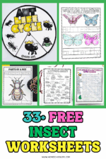 33 Free Insect Worksheets for Kids