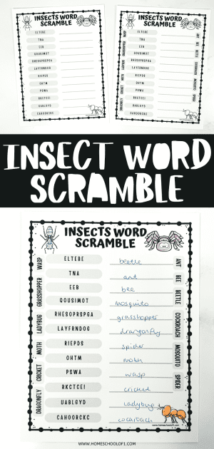 Free Insect Word Scramble Printable