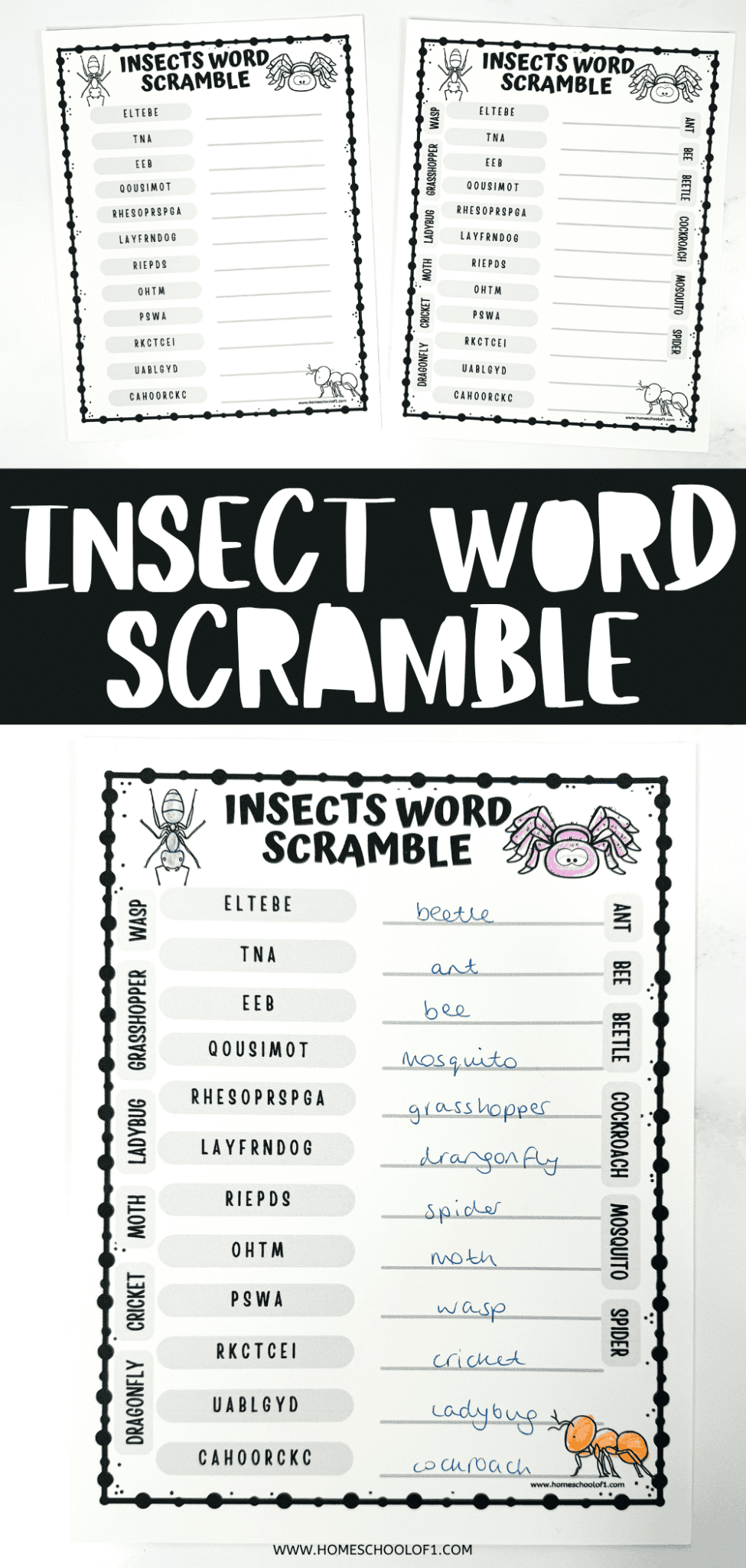 Free Insect Word Scramble Printable