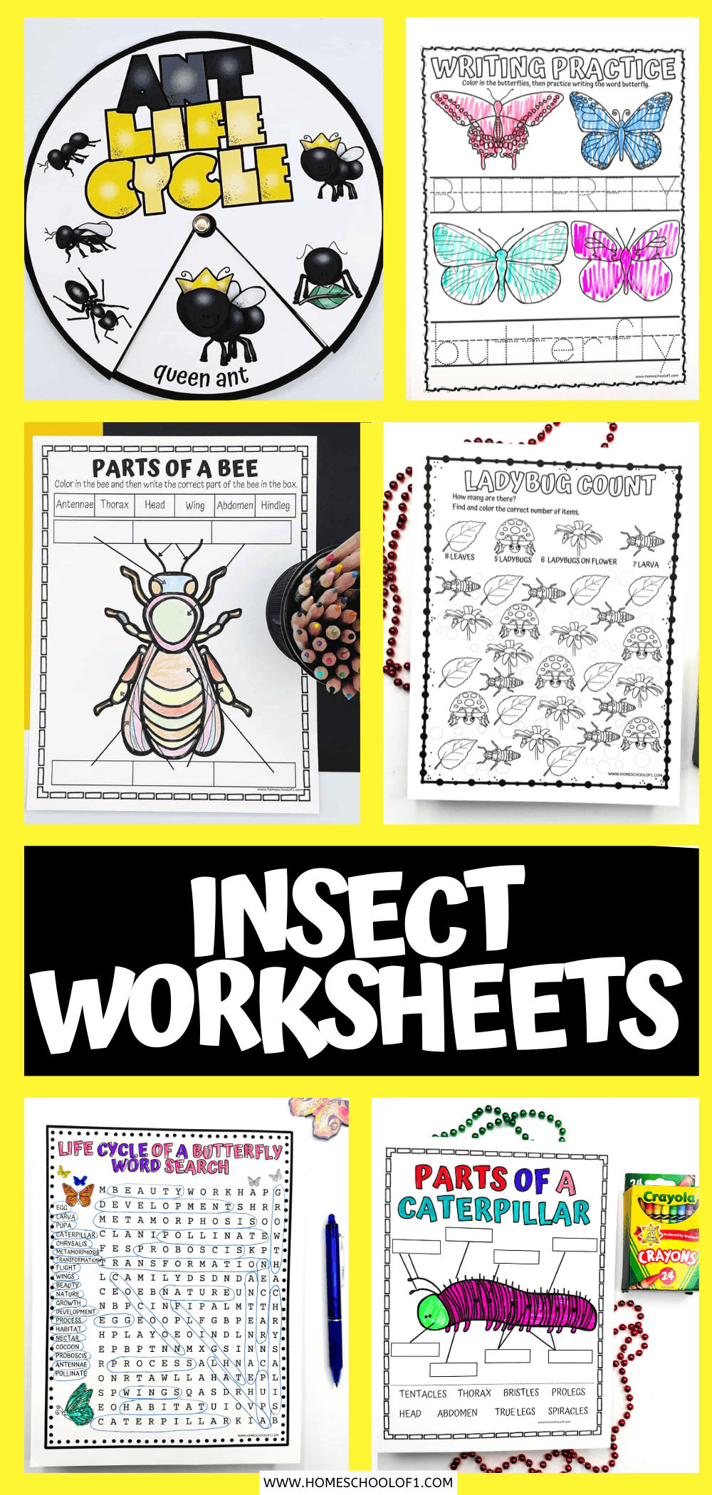 33 Free Insect Worksheets for Kids