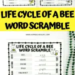 Free Life Cycle of a Bee Word Scramble Printable