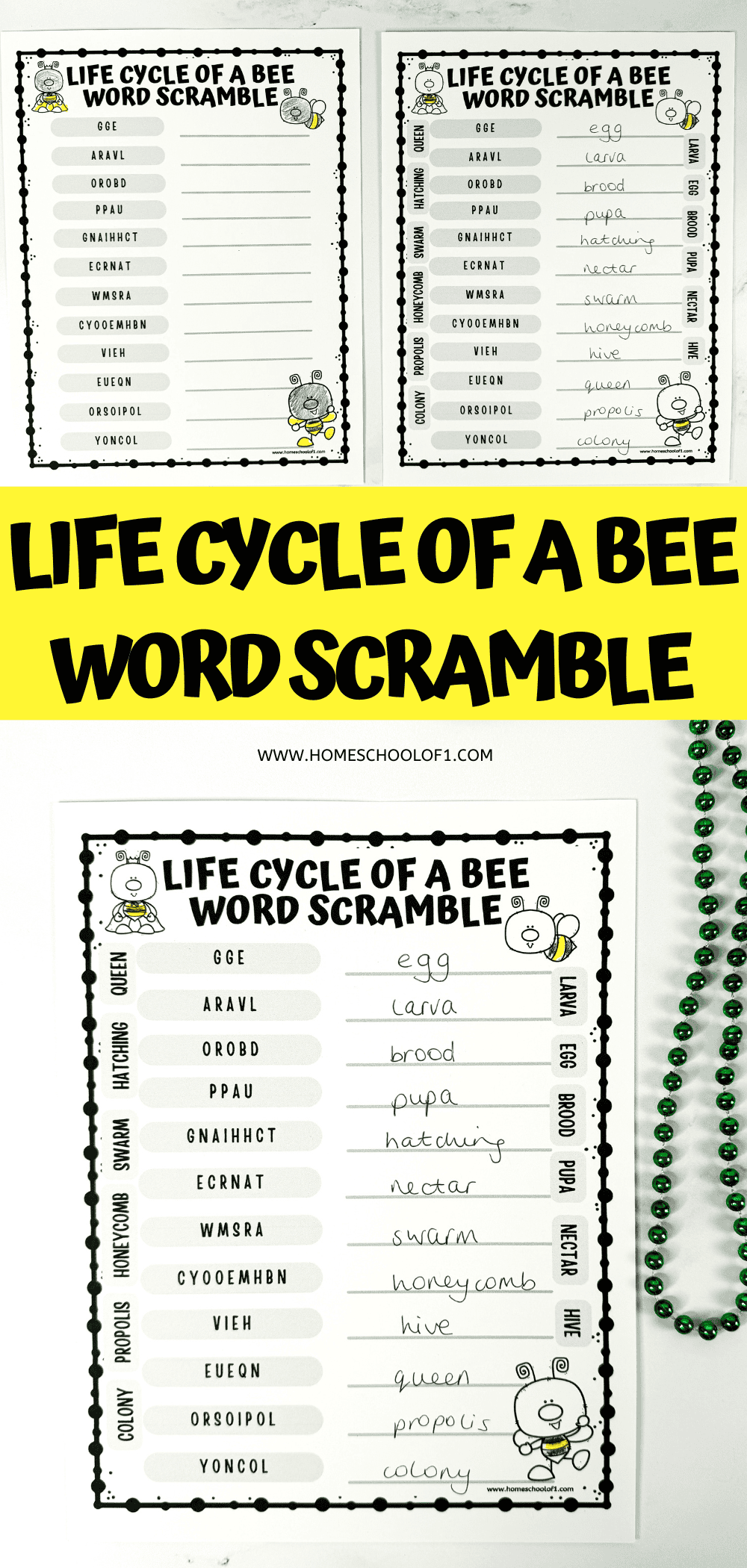 Free Life Cycle of a Bee Word Scramble Printable