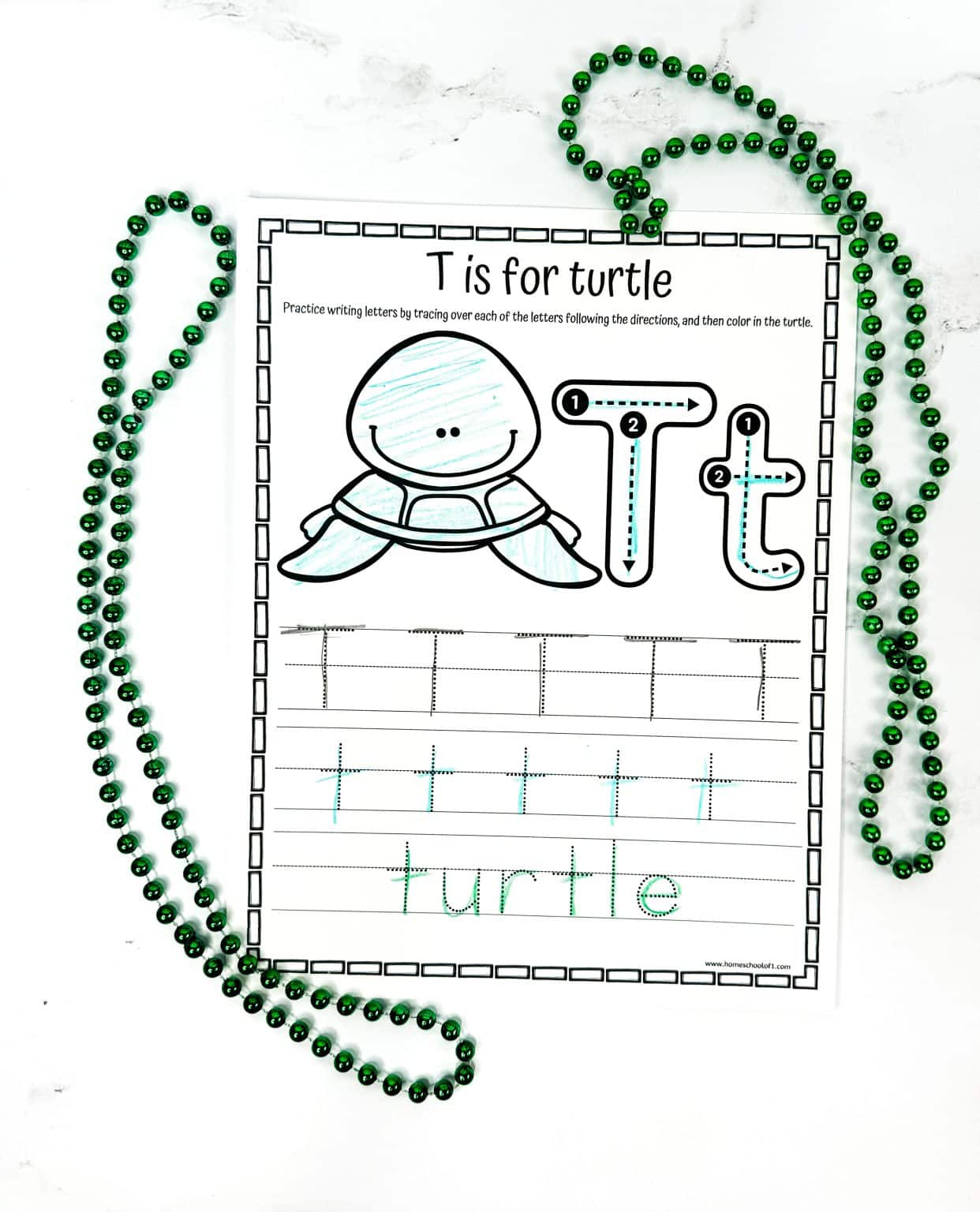 Turtle Tracing Worksheet (Free Printable)