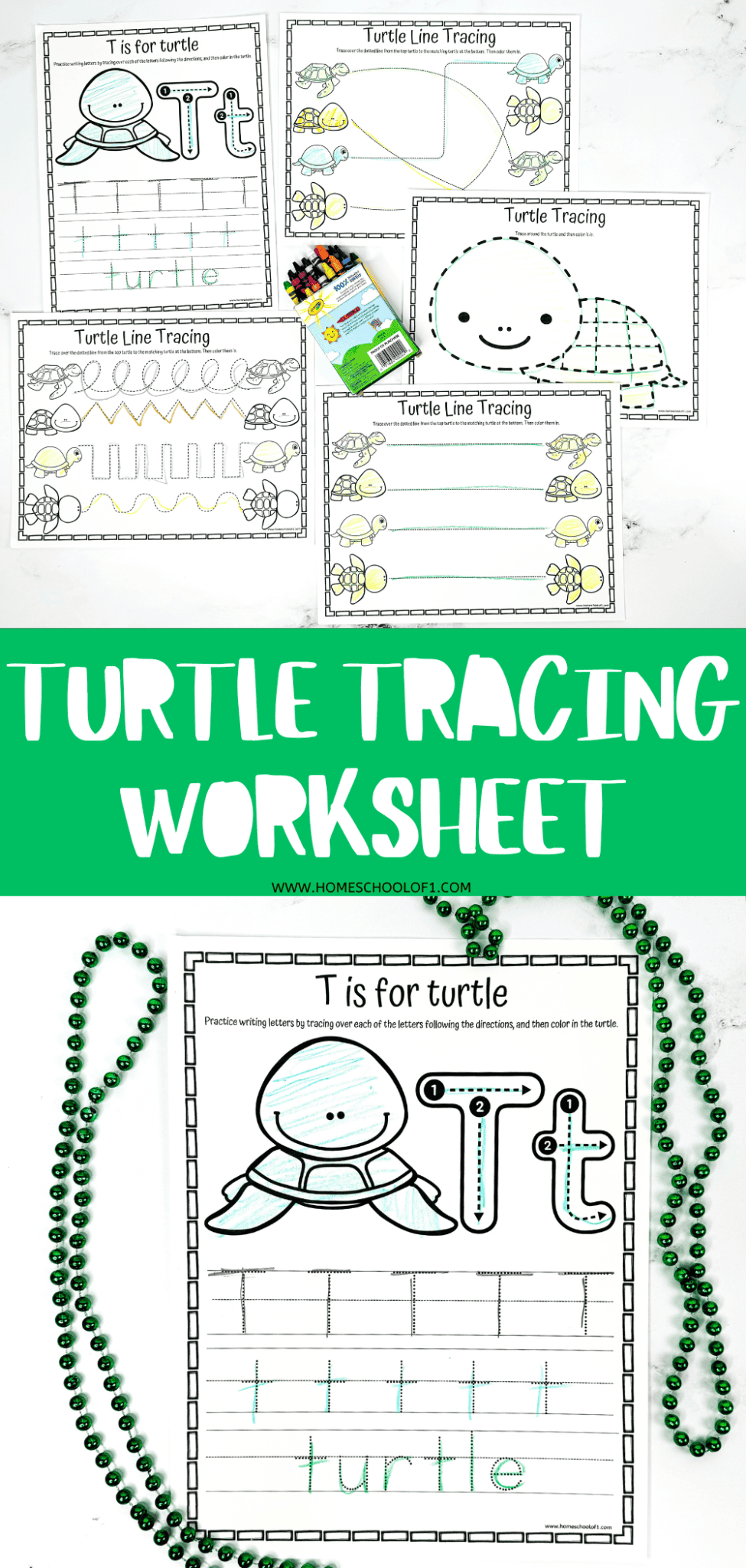 Turtle Tracing Worksheet (Free Printable)