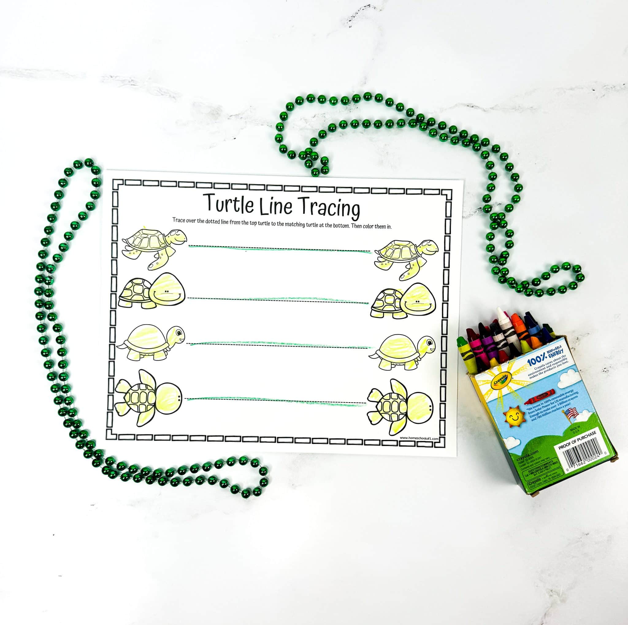 Turtle Tracing Worksheet (Free Printable)