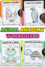 21 Free Animal Anatomy Worksheets for Kids