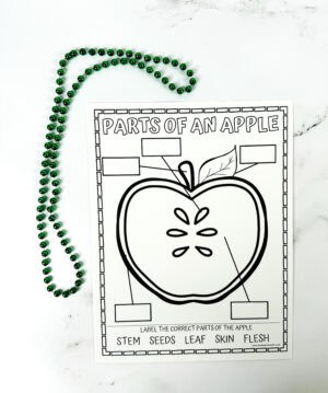 Parts of an Apple Worksheet for Preschool and Kindergarten