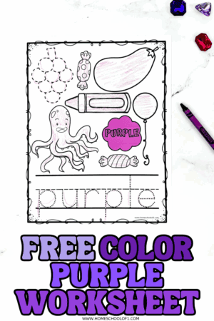 Color Purple Worksheet for Preschool (Free Printable)