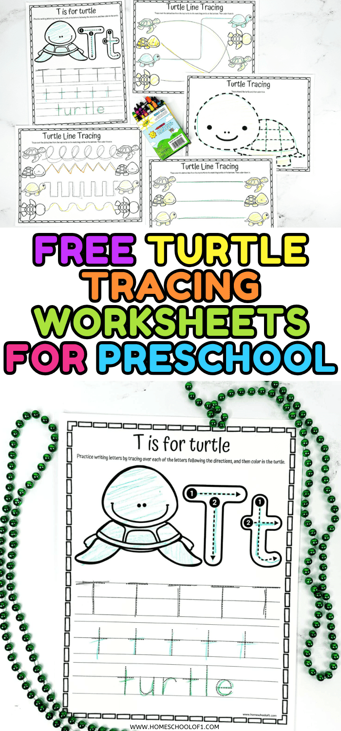 Turtle Tracing Worksheet (Free Printable)