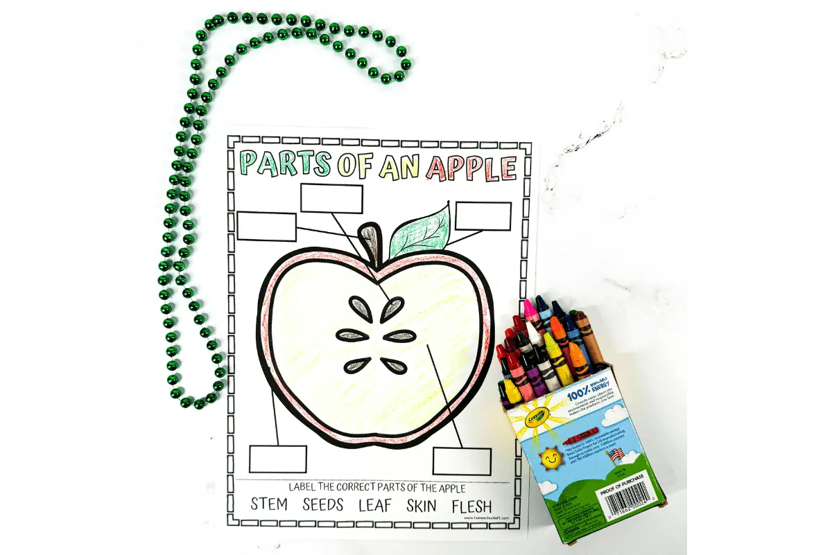 17 Best Johnny Appleseed Activities for Kids
