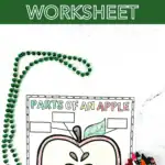 Parts Of An Apple Worksheet (Free Printable)