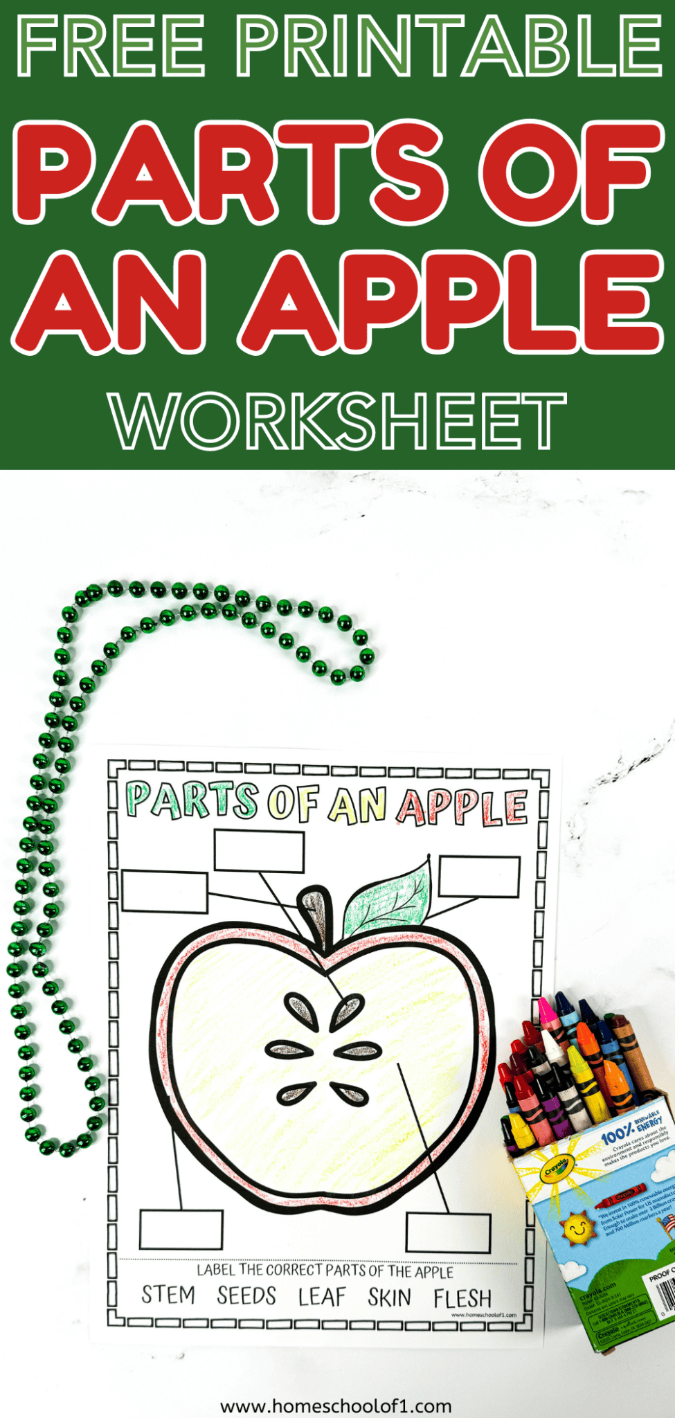 Parts Of An Apple Worksheet (Free Printable)