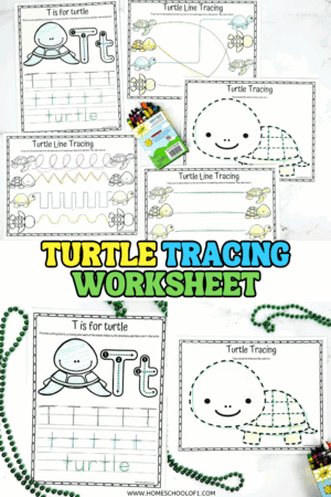 Turtle Tracing Worksheet (Free Printable)