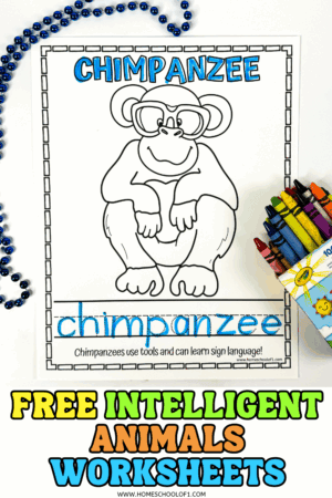 Free Intelligent Animals Coloring Pages