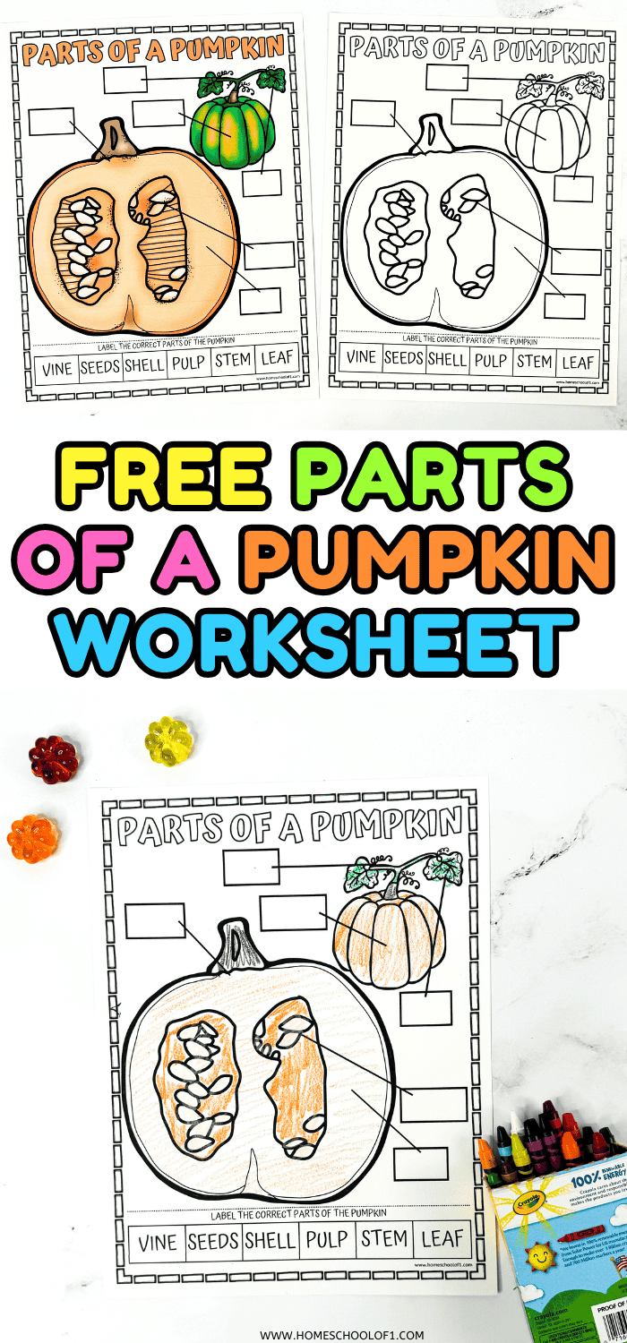Parts of a Pumpkin Worksheet (Free Coloring Page)
