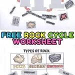 Free Rock Cycle Worksheet for Kids
