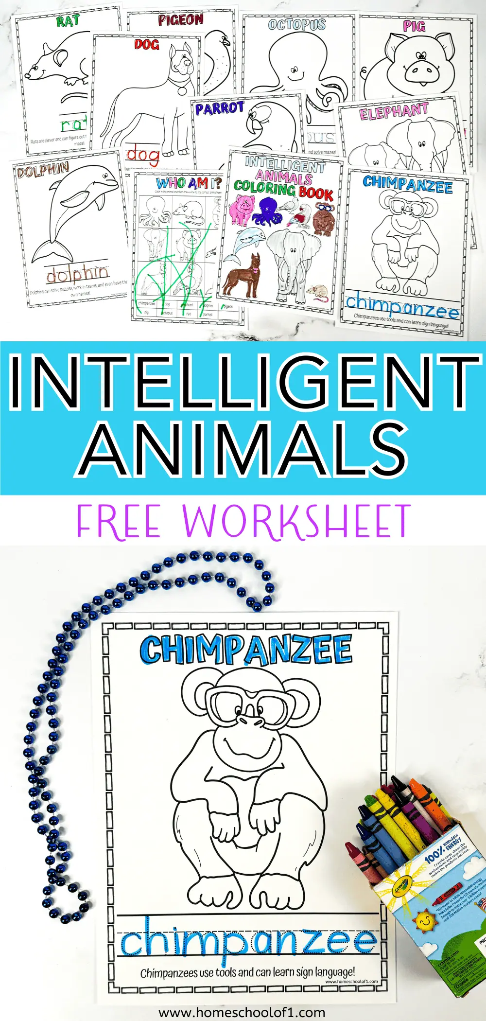 Intelligent Animals Coloring Pages (Free Worksheet)