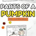 Parts of a Pumpkin Worksheet (Free Coloring Page)