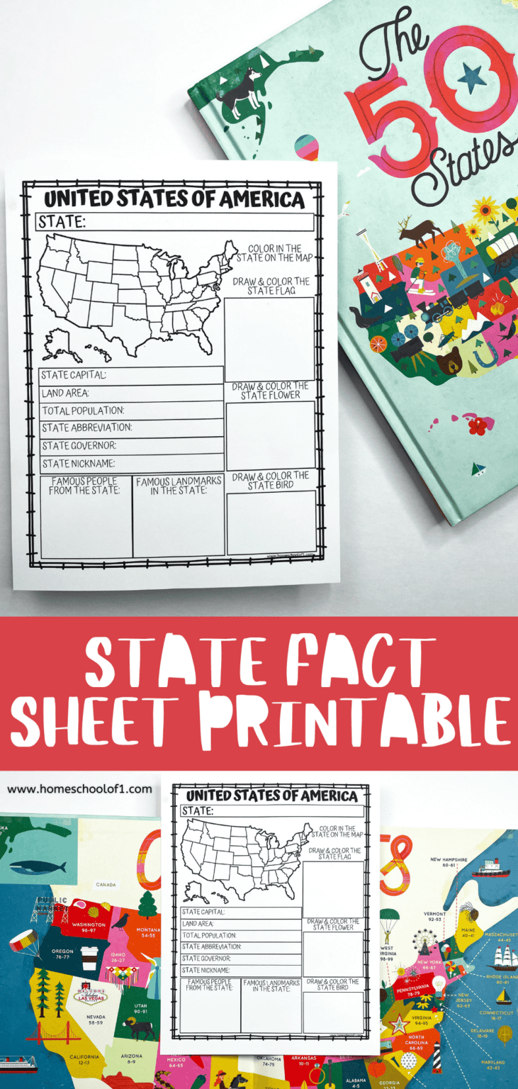 Free Printable State Facts Worksheet